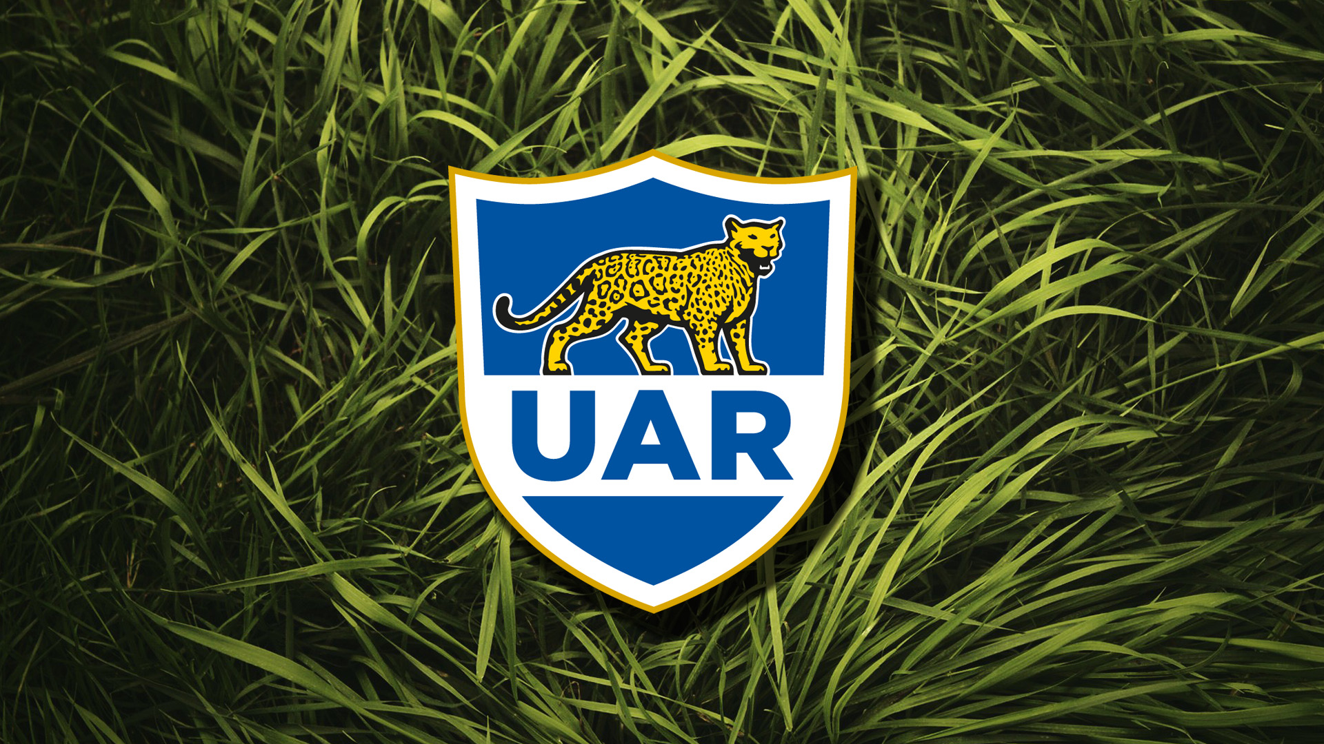 UAR, Números que reflejan trabajo – Rugby Report